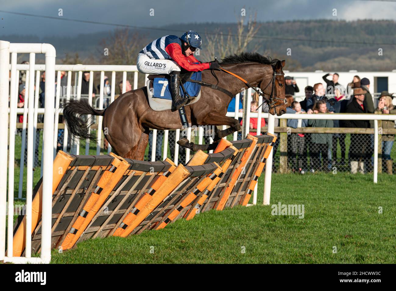 Nigel hawke trained hi-res stock photography and images - Alamy