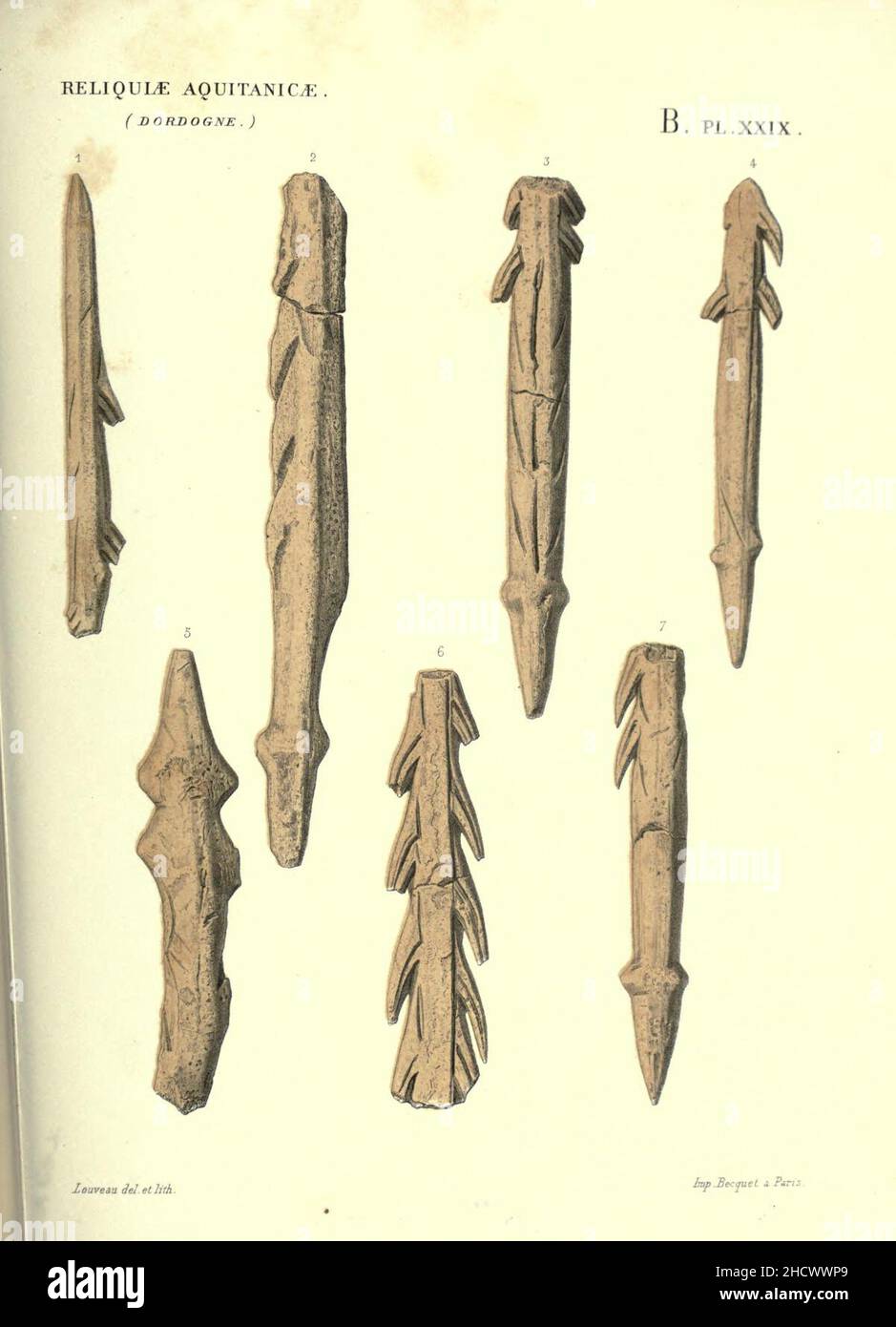 Reliquiae aquitanicae--pl. B-29 Stock Photo - Alamy