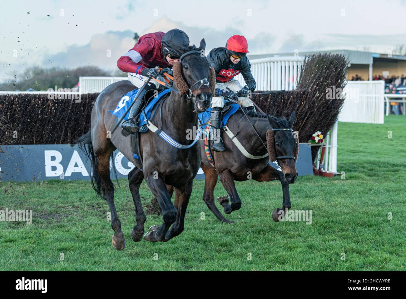 Native Robin goes on to win at Wincanton on Boxing Day 2021 Stock Photo ...