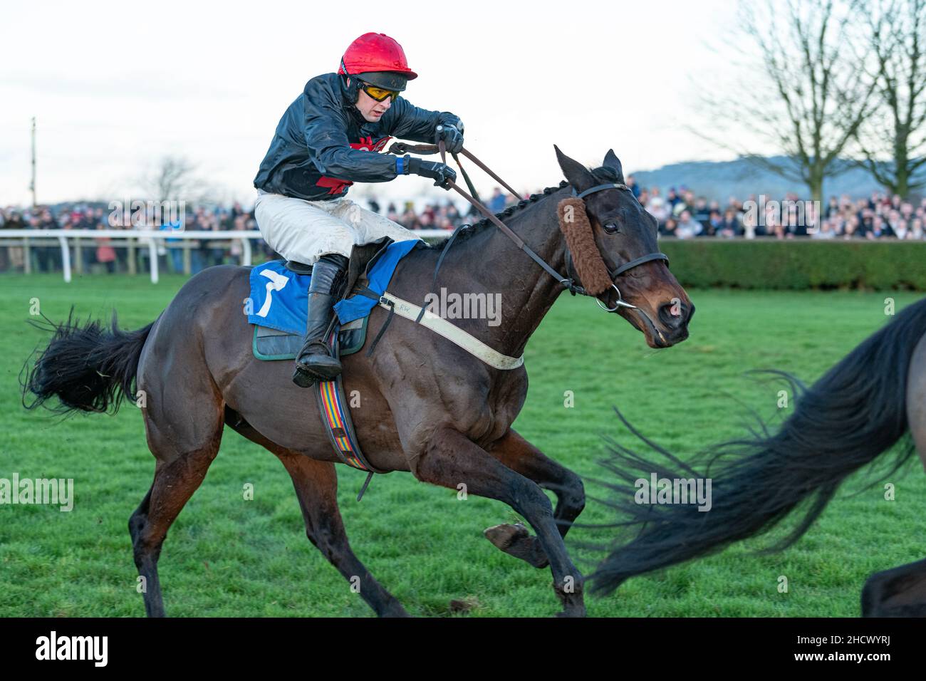 Foxboro racecourse hi-res stock photography and images - Alamy