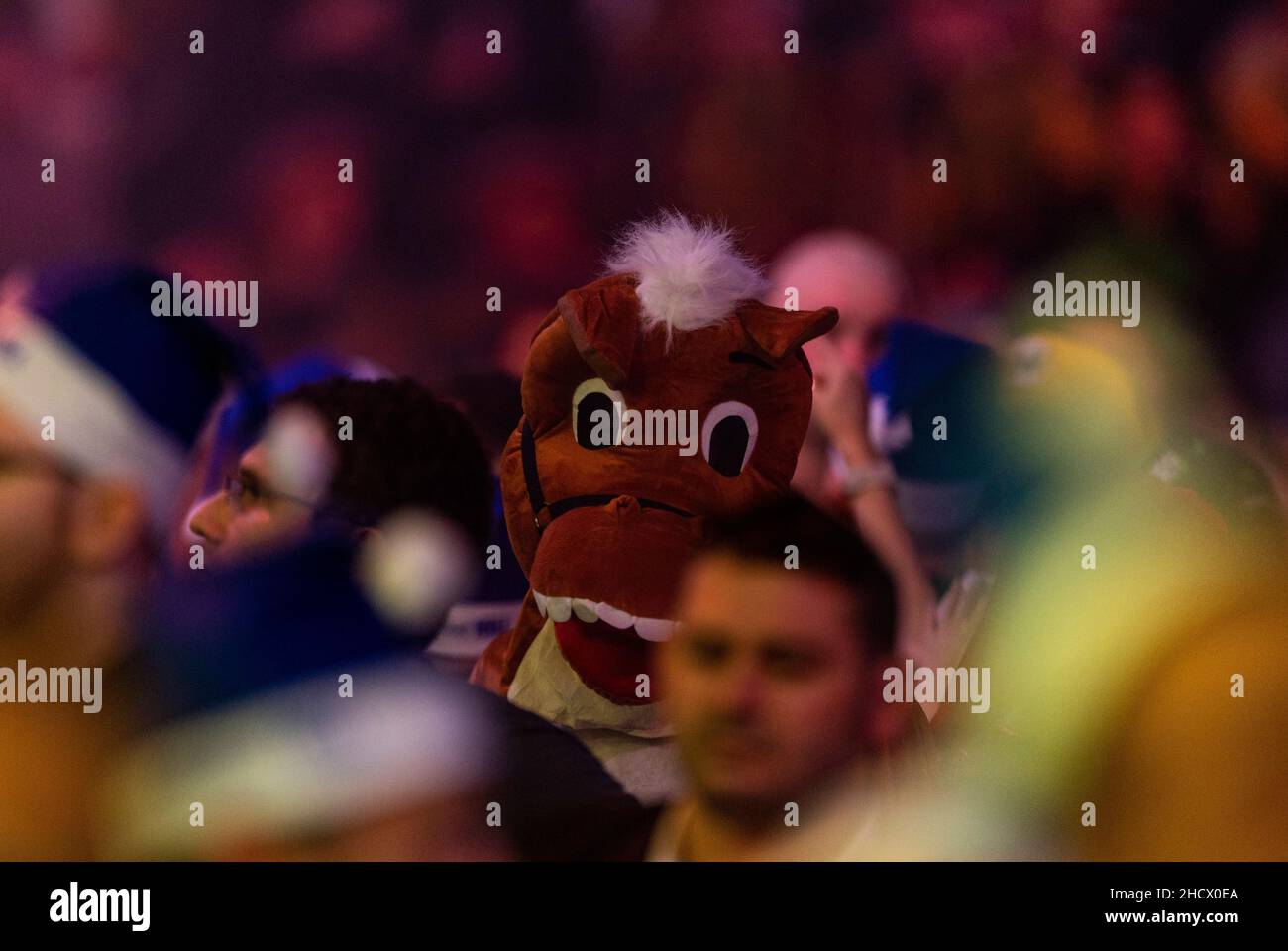 Fans in fancy dress in the crowd during day fourteen of the William ...