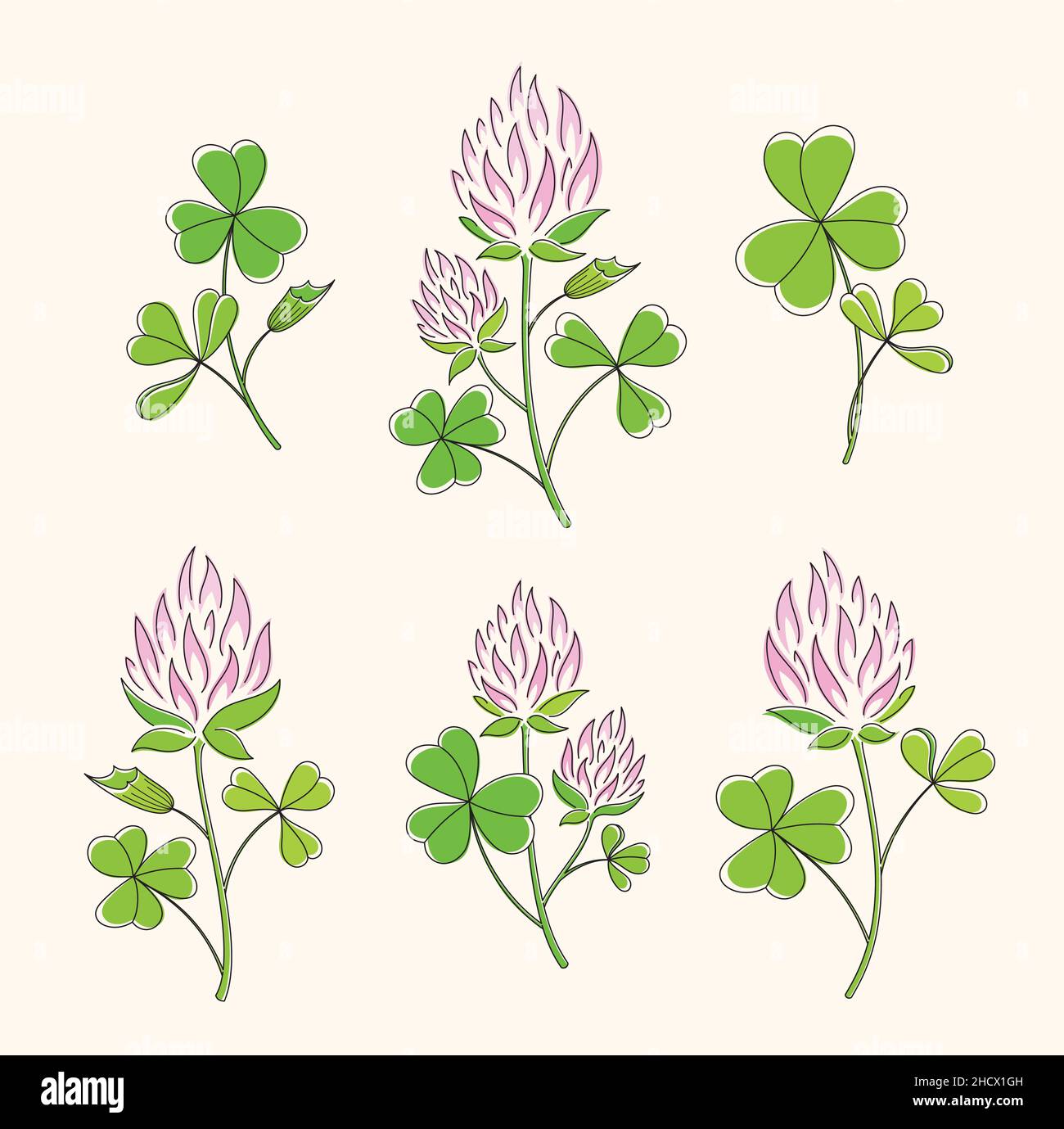 Trinity flowers Stock Vector Images - Alamy