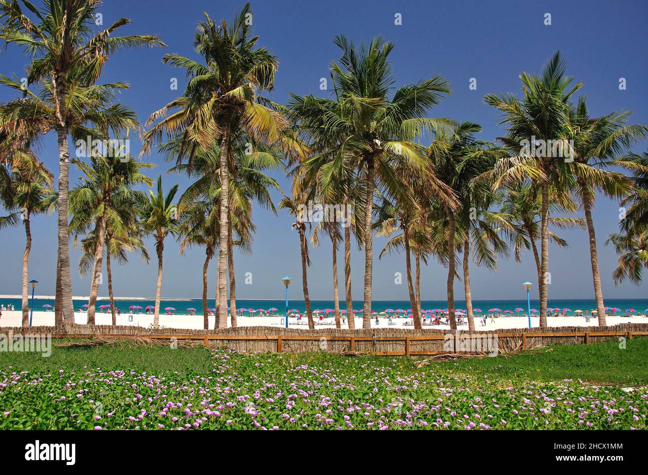 World palm jumeirah hi-res stock photography and images - Alamy