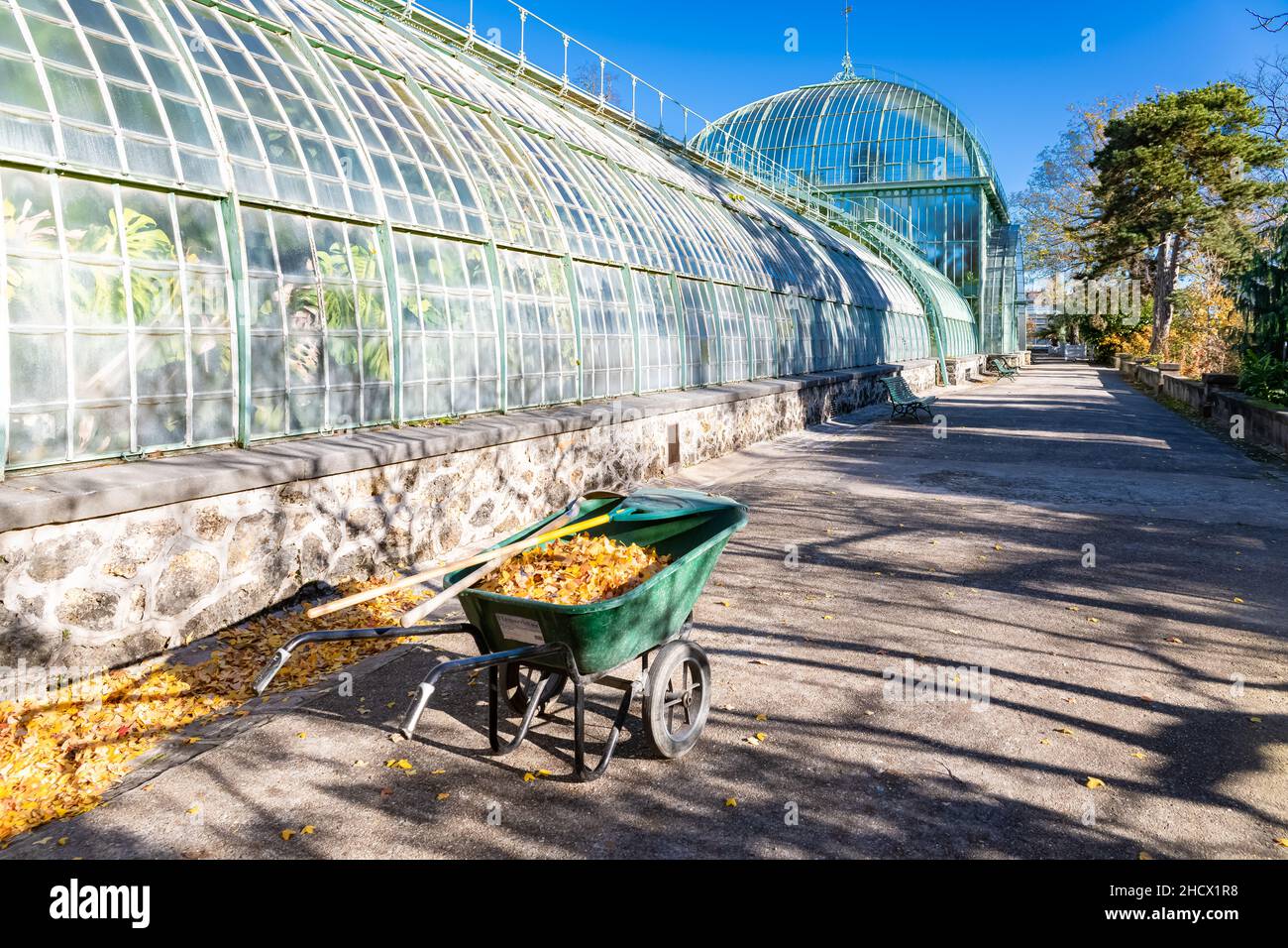 Beautiful glass orangery flowers hi-res stock photography and images ...