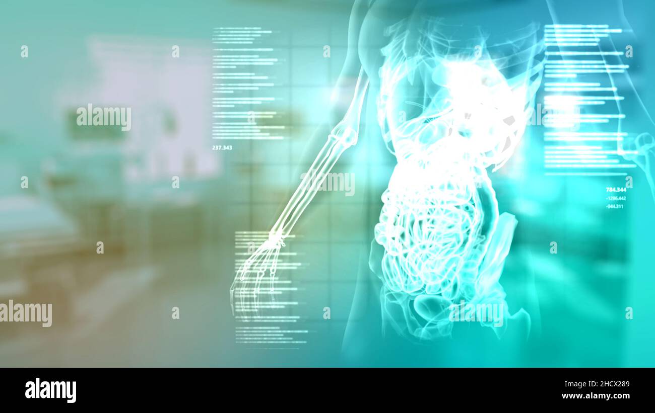 human digestion system hi-tech medical healing , abstract 3D ...