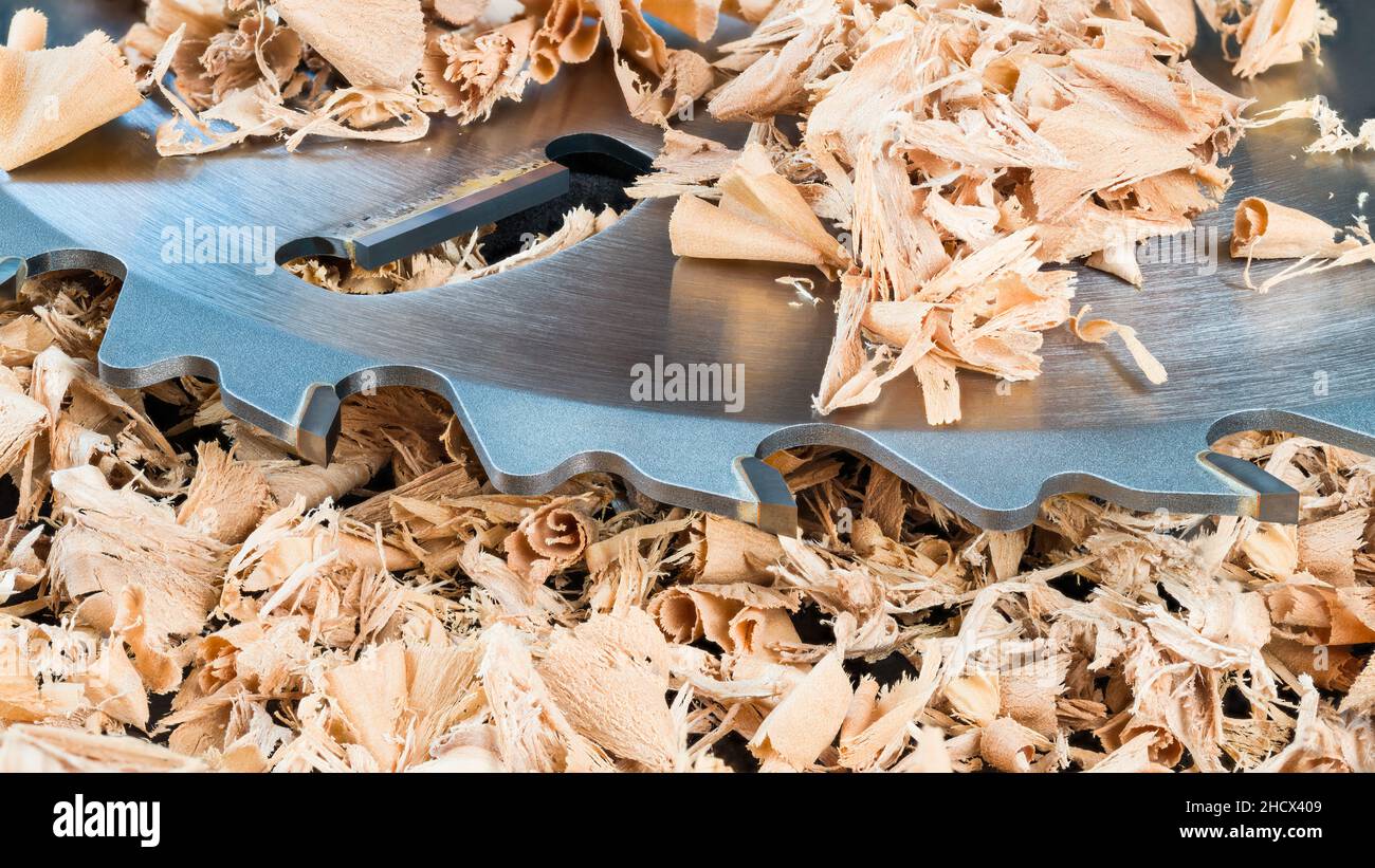 Circular saw blade detail with sharp replaceable metal inserts in ...