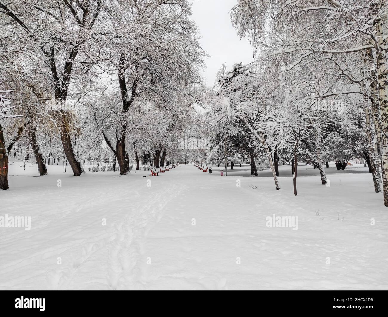 An empty and snow-covered alley in old city park in the early December ...