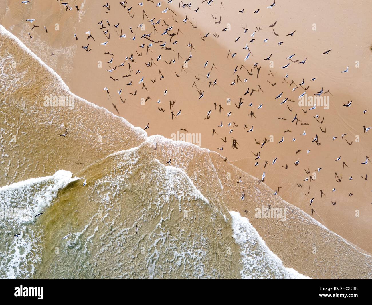Aerial fly over tropical beach hi-res stock photography and images - Alamy
