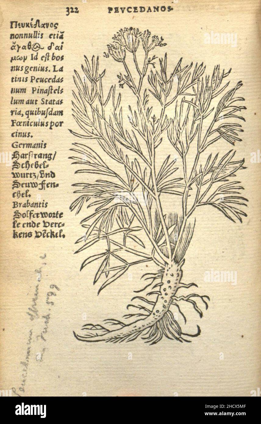 Remberti Dodonaei ... trium priorum de stirpium historia commentariorum ...