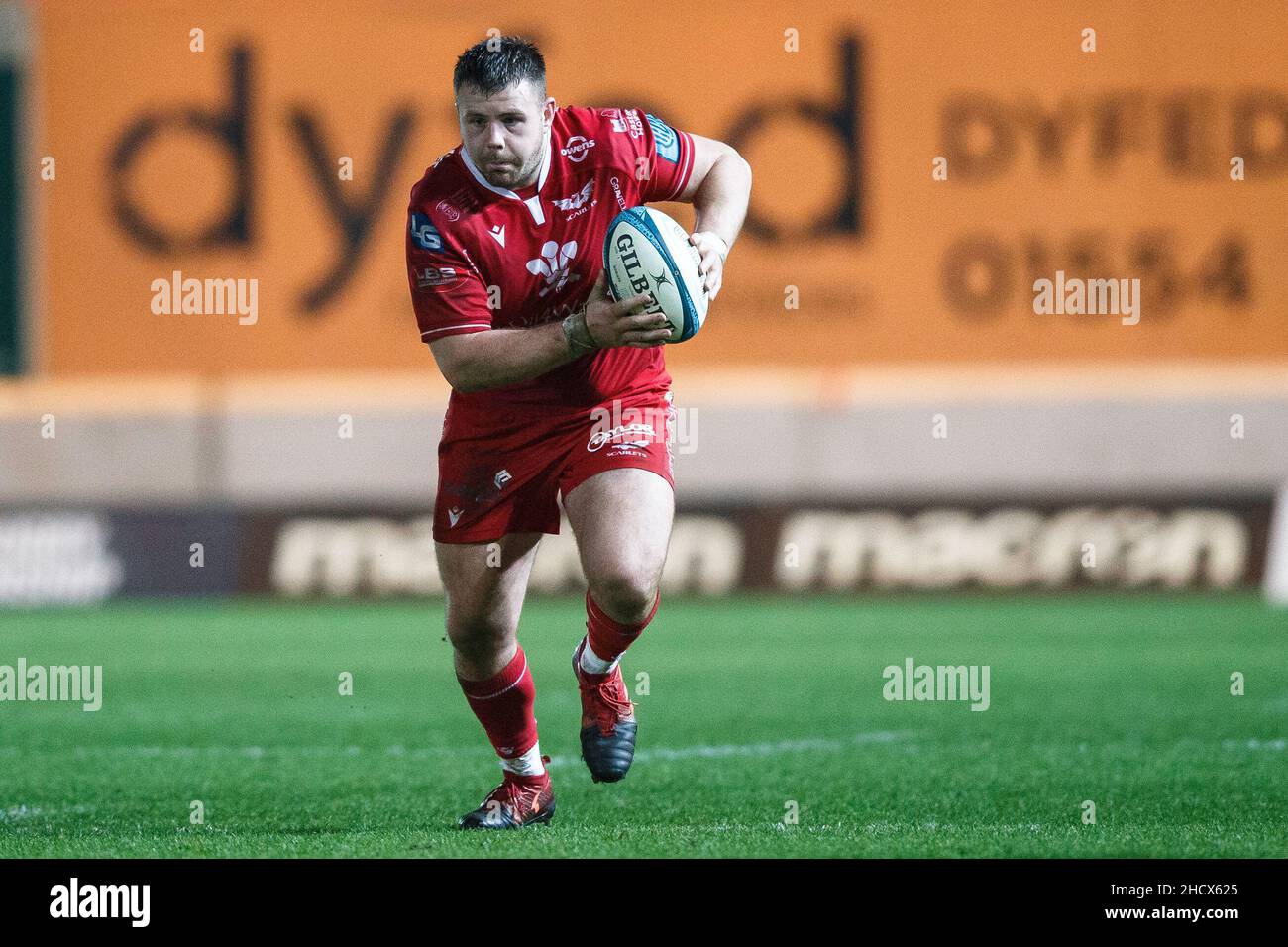Llanelli, UK. 1 January, 2022. Scarlets prop Rob Evans on the charge ...
