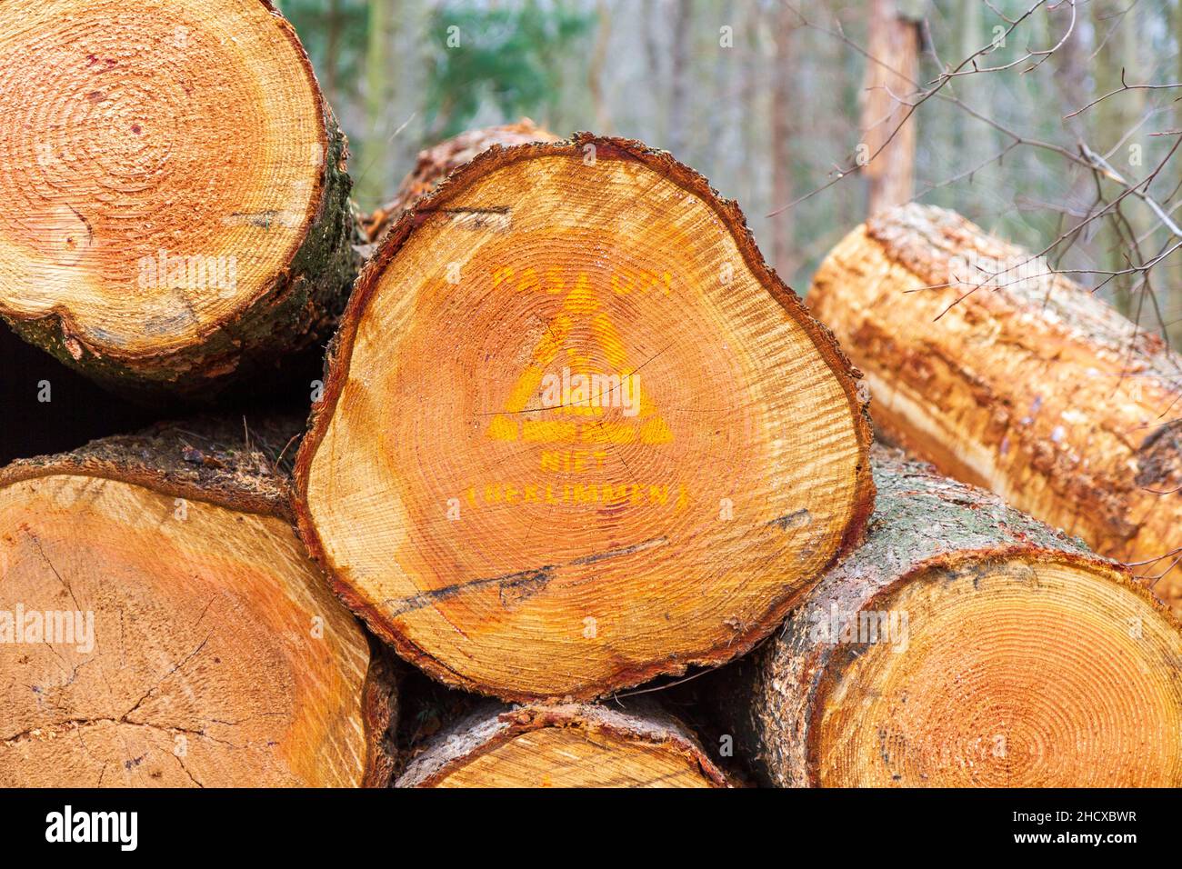 Tree log warning hi-res stock photography and images - Alamy