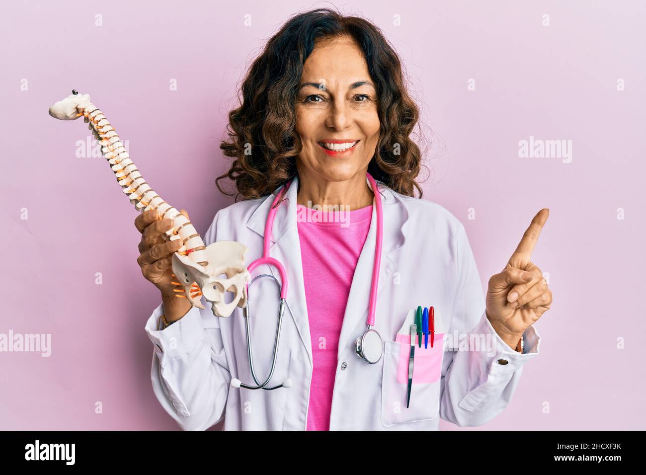 Middle age hispanic doctor woman holding anatomical model of spinal ...