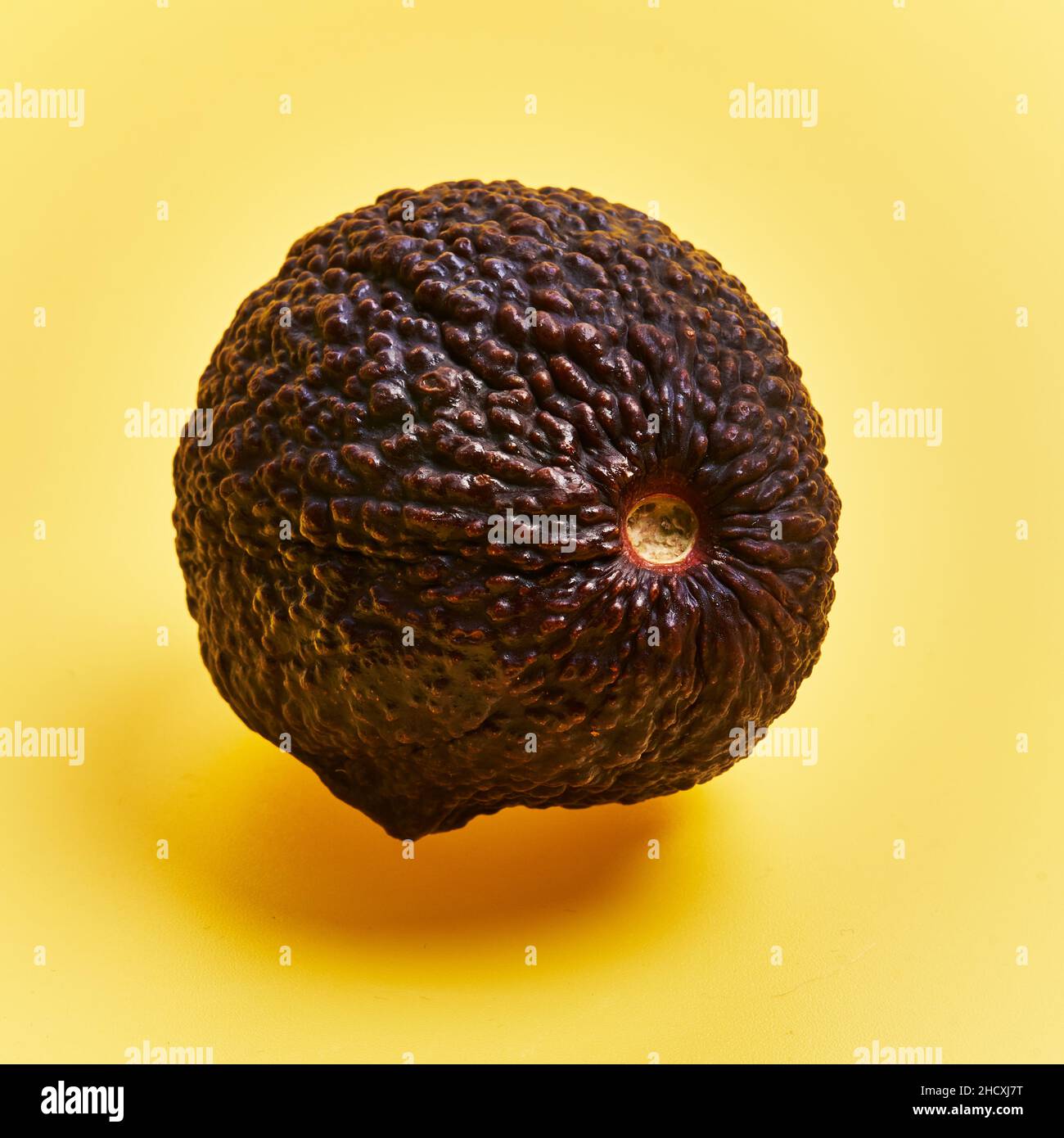 SIngle avocado fruit over yellow background Stock Photo - Alamy