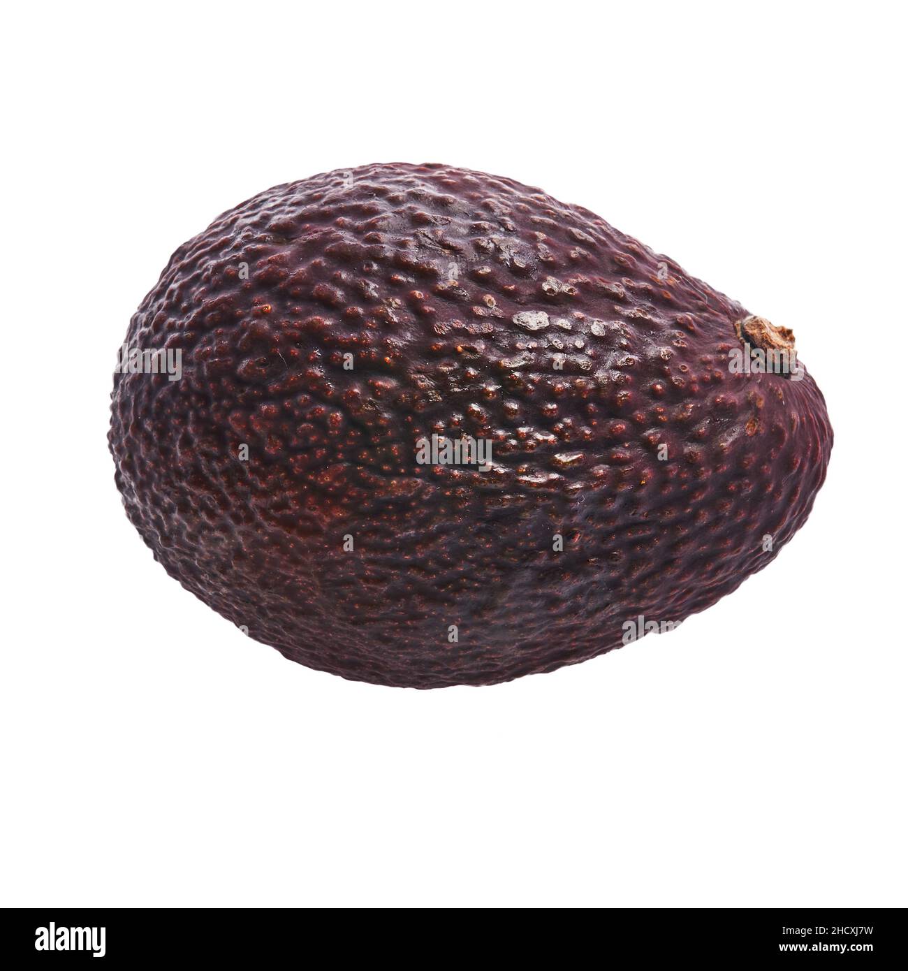 SIngle avocado fruit isolated over white background Stock Photo - Alamy