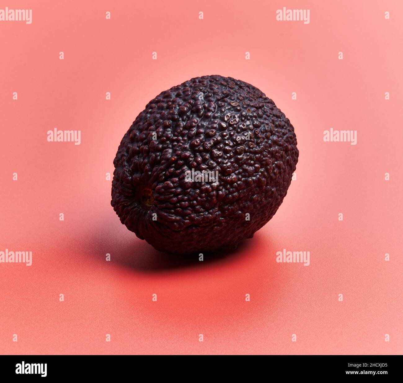 SIngle avocado fruit over red background Stock Photo - Alamy