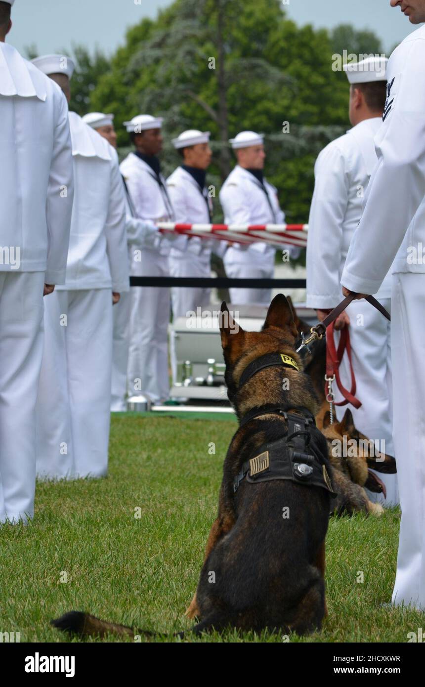 Remembering Master at Arms 2nd Class Sean Brazas 120619 Stock Photo - Alamy