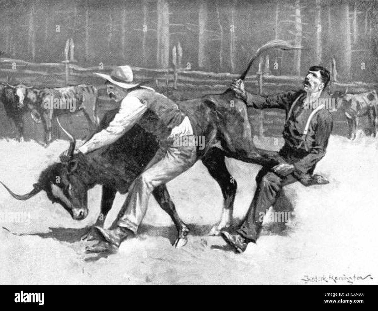 Remington Cowboys wrestling a bull Stock Photo - Alamy
