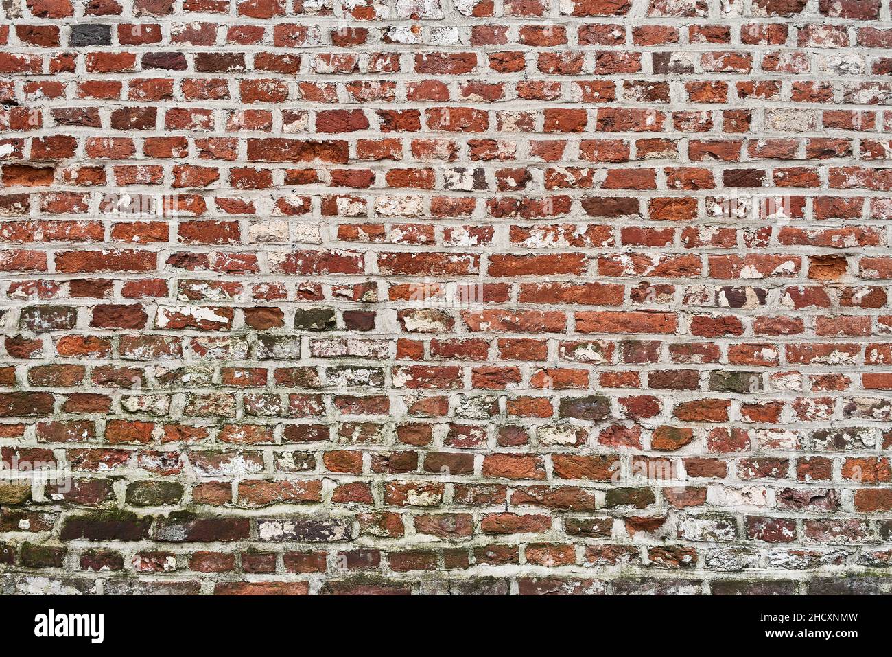 Decay brick wall surface background Stock Photo - Alamy
