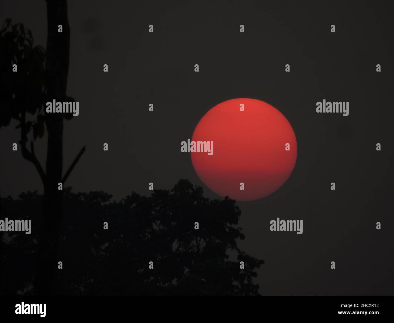 Beautiful big moon hi-res stock photography and images - Alamy