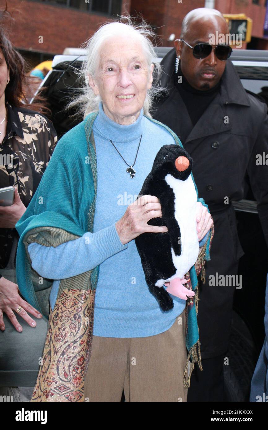 Doc roger hi-res stock photography and images - Alamy