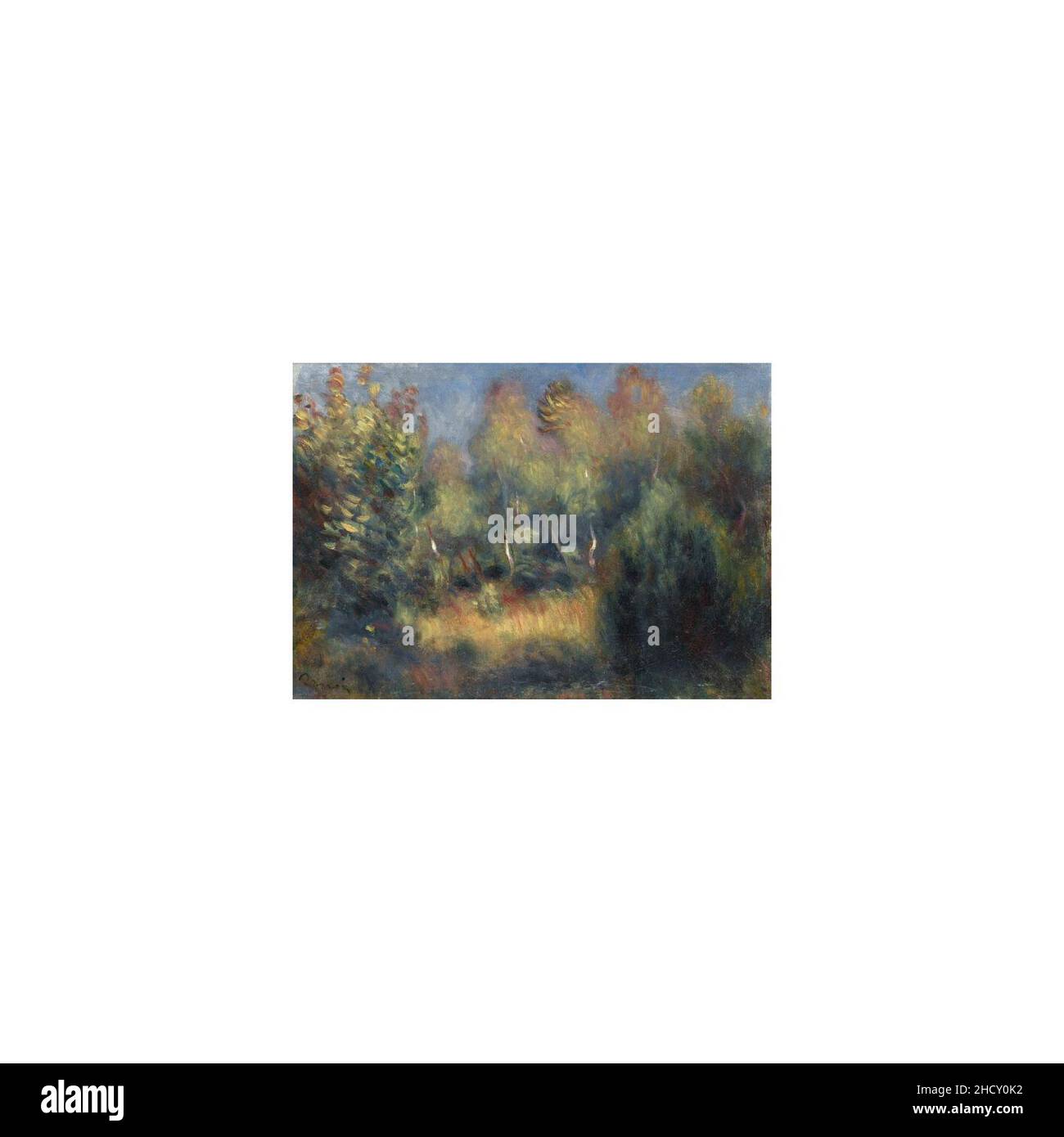 Clairiere Cut Out Stock Images & Pictures - Alamy