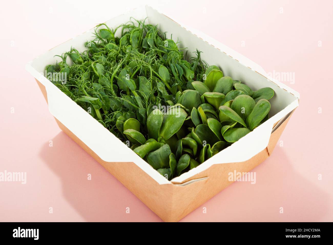 Microgreens in a disposable eco paper box of sunflower seeds. Idea for ...