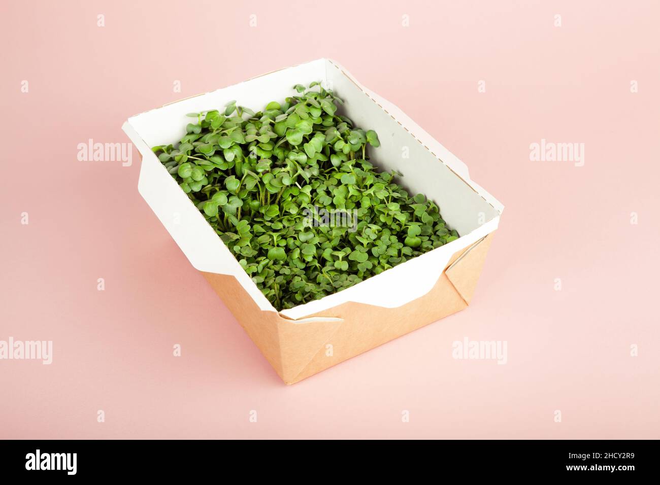 Microgreens in a disposable eco paper box of sunflower seeds. Idea for ...