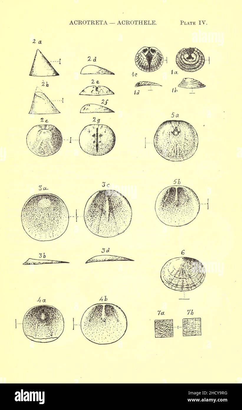 Cambrian rocks hi-res stock photography and images - Alamy