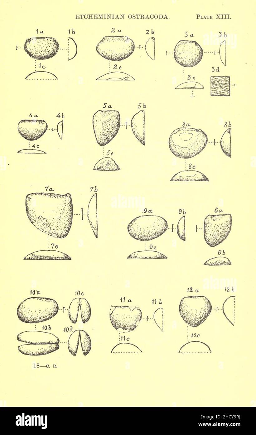 Report on the Cambrian rocks of Cape Breton Stock Photo - Alamy