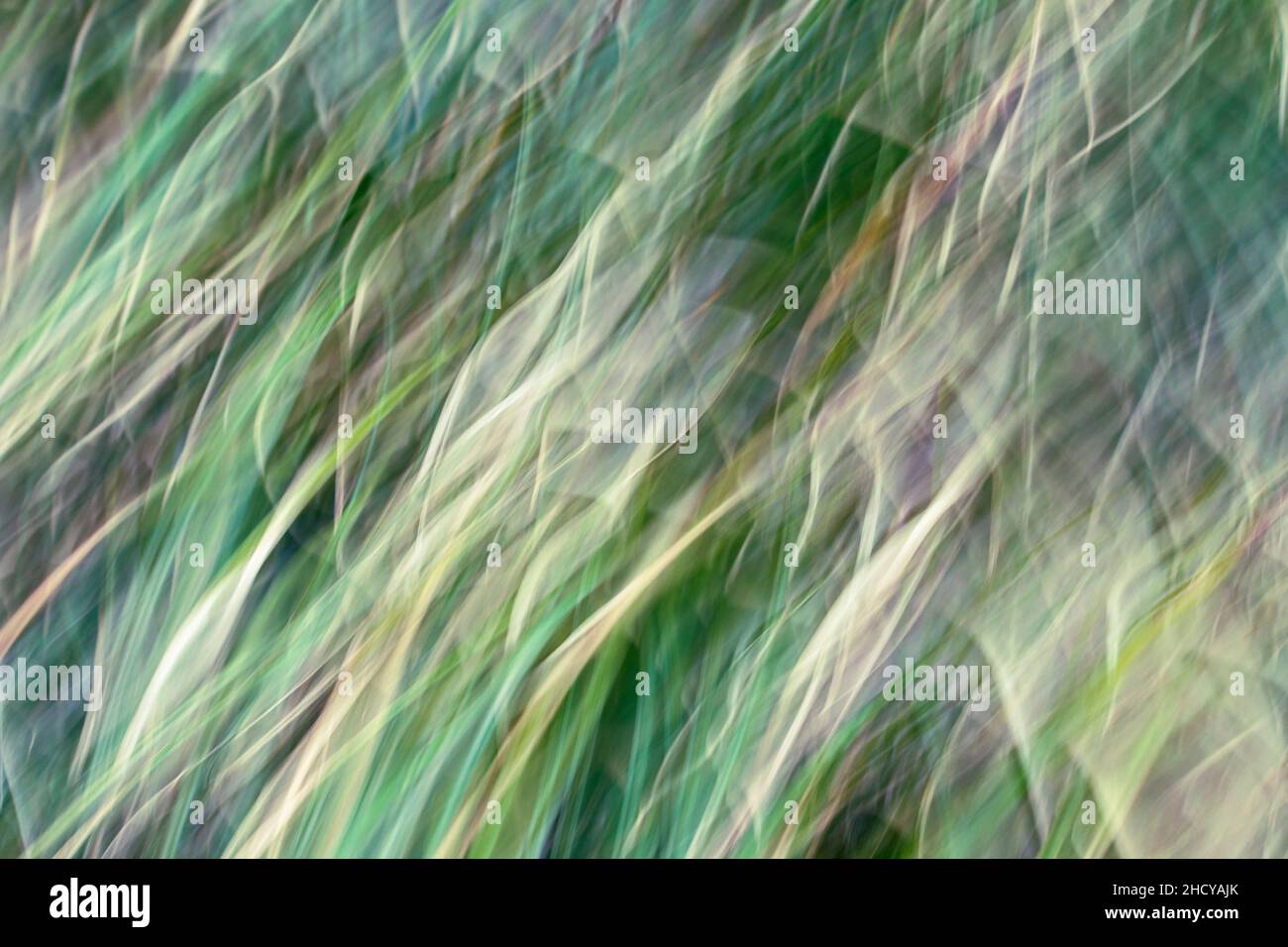 Intentional camera movement hi-res stock photography and images - Alamy