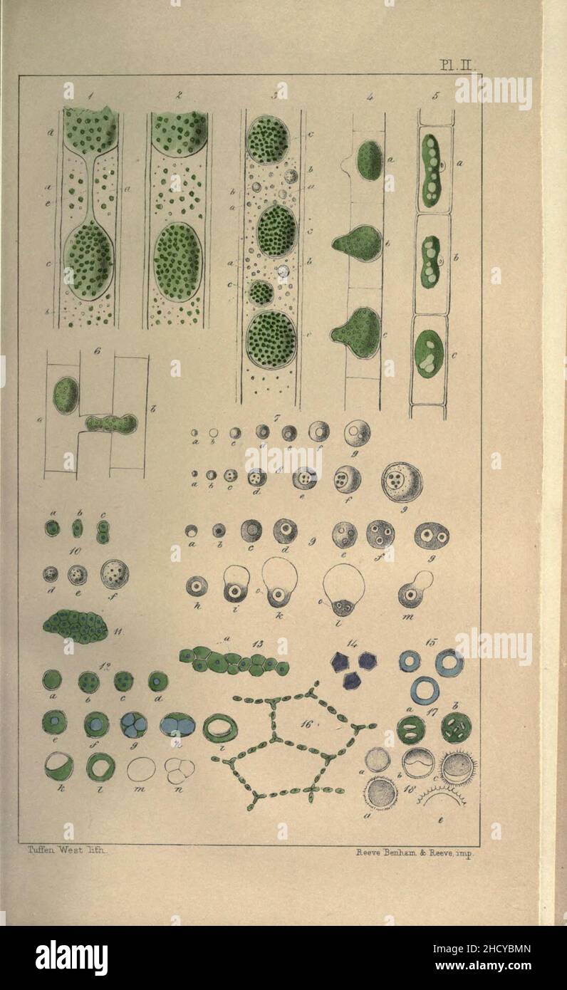 Reports and papers on botany Stock Photo - Alamy