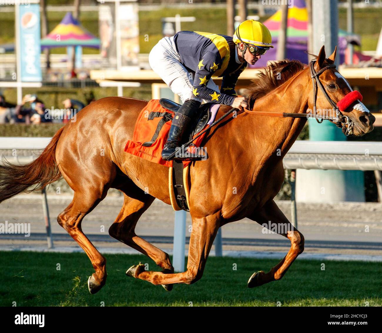 Frankel horse hi-res stock photography and images - Alamy