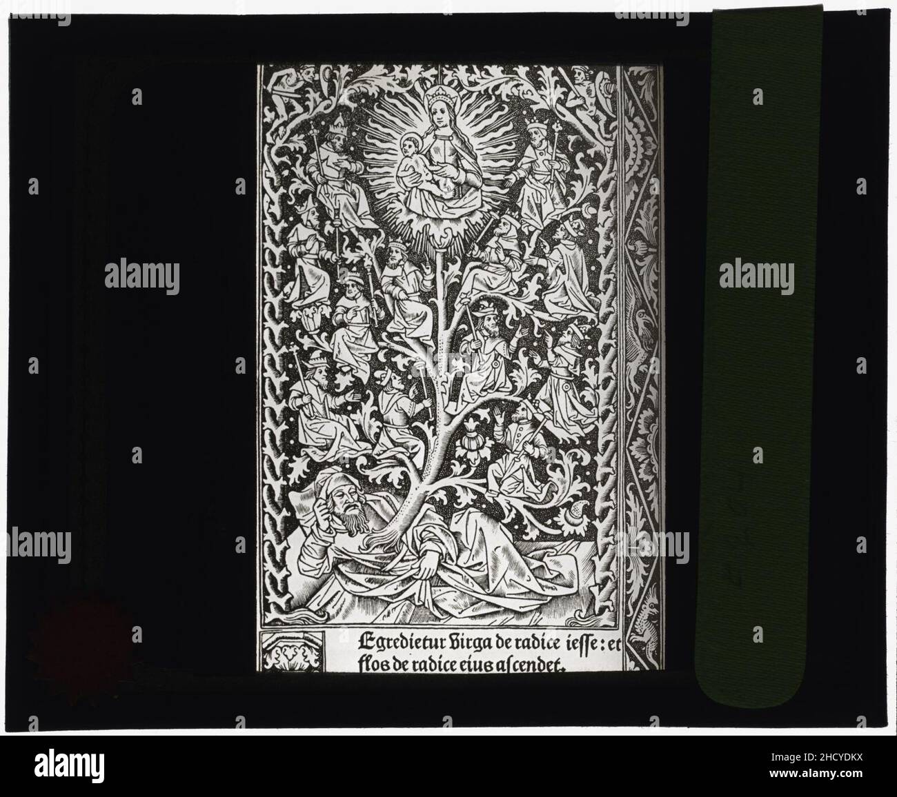 Reproduction of print showing Branch from the Rod of Jesse Stock Photo ...