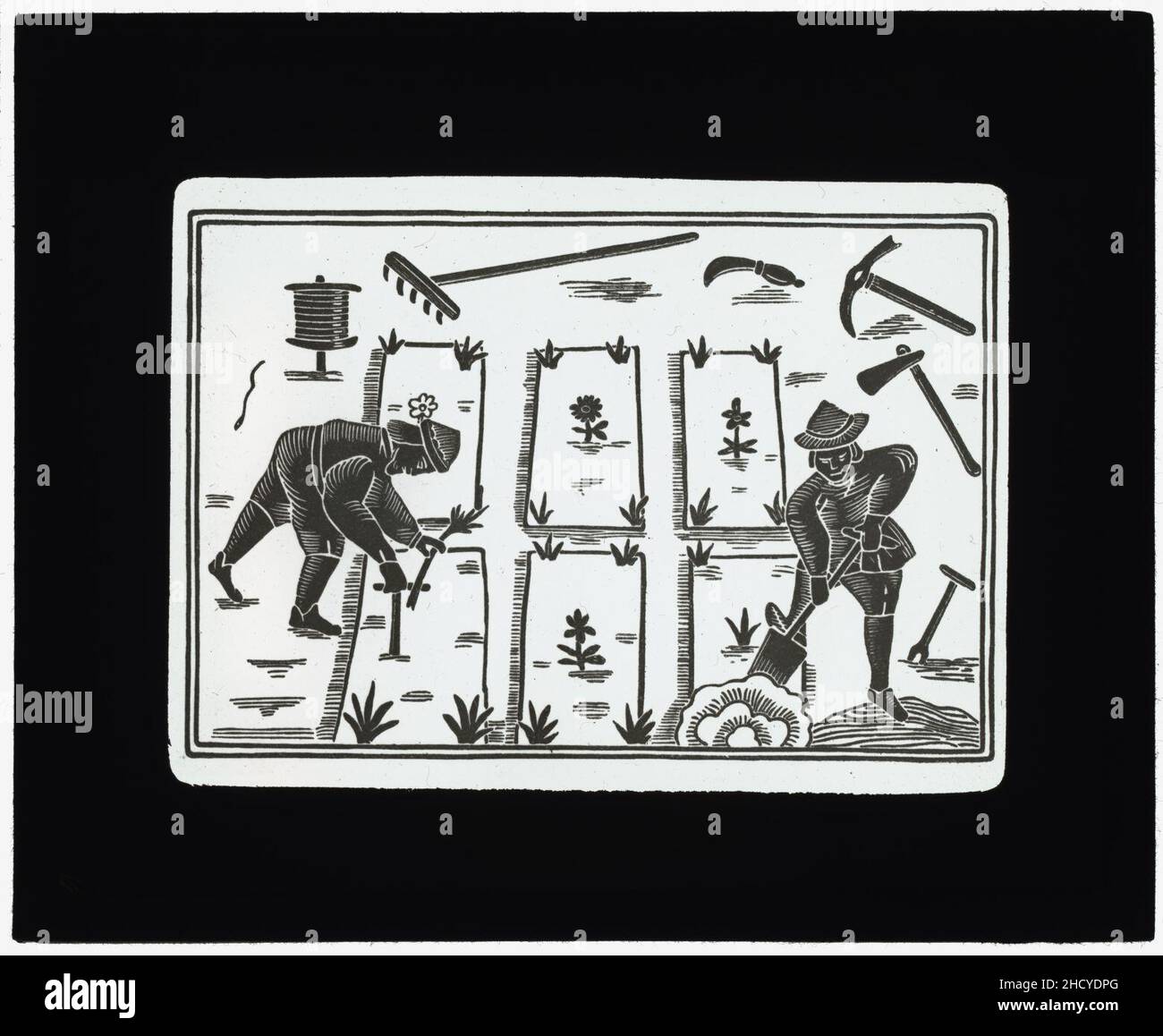 Reproduction of print showing Raised Beds and Sparce Planting Stock ...