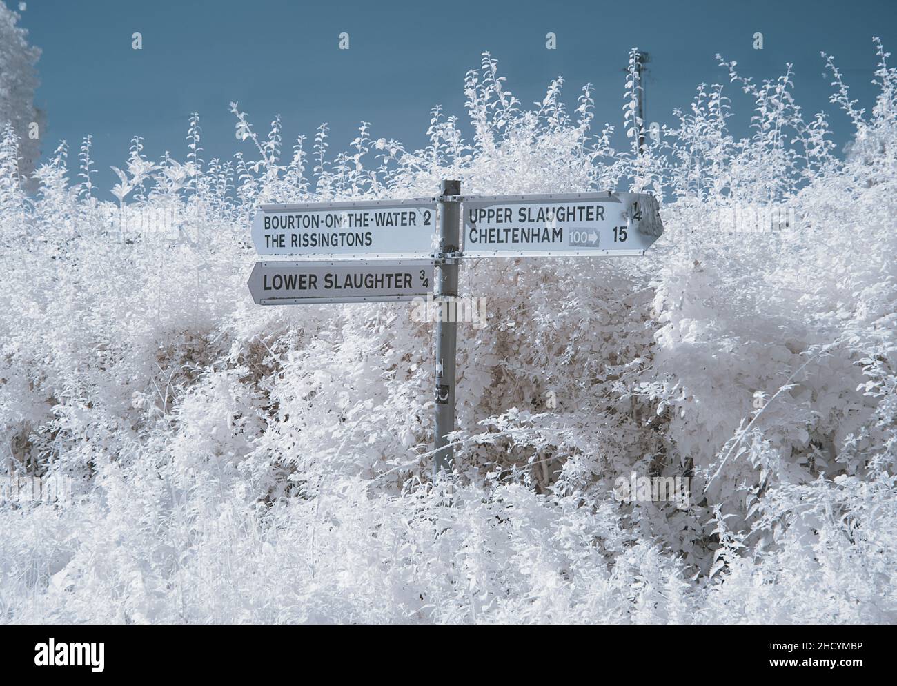 Sign showing directions in a big snowy bush Stock Photo - Alamy