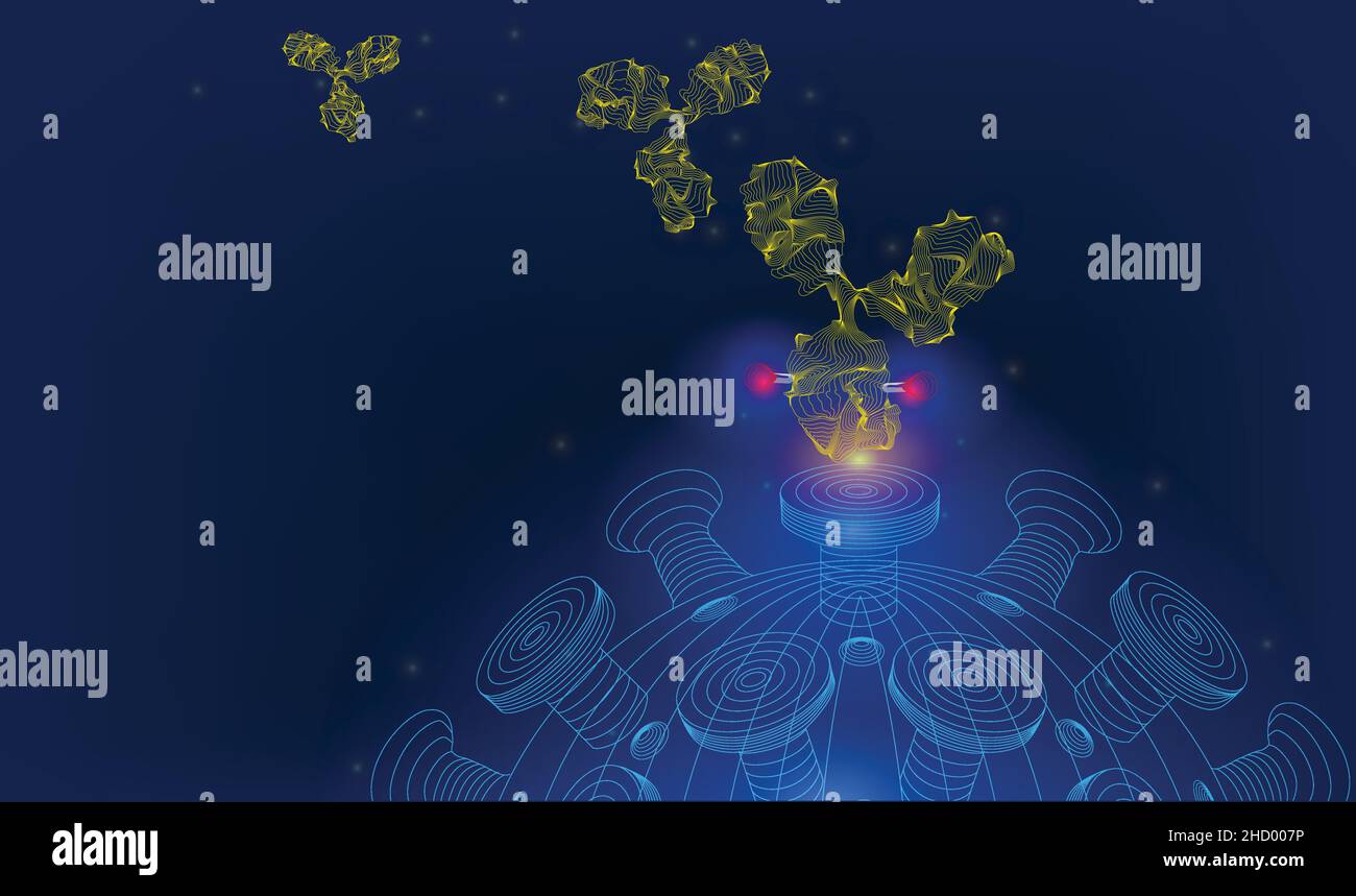 human antibody micro science antigen drug science microbiology Stock ...
