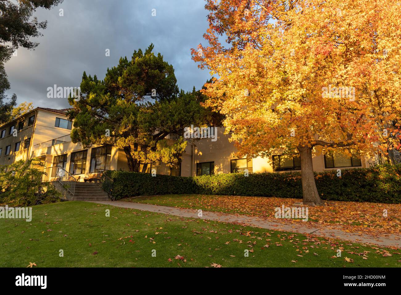 Brilliant autumn colors on the campus of Occidental College in Los ...