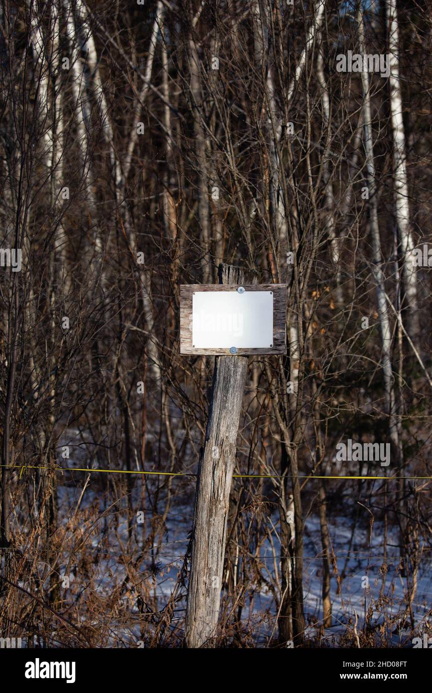 White blank sign on a wood post next to a forest with copy space ...