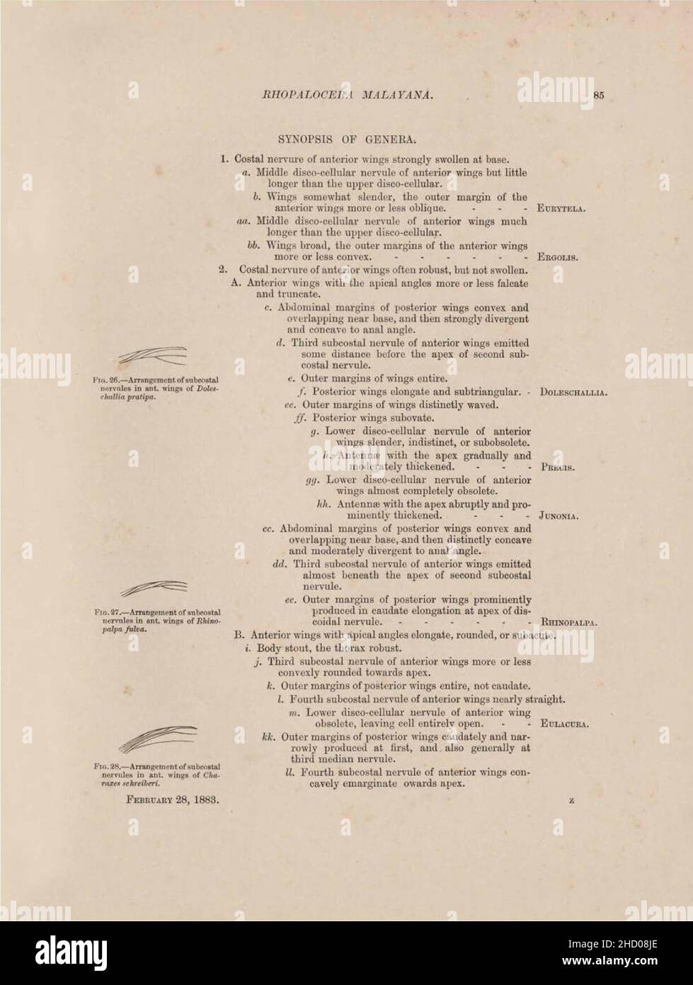 Rhopalocera Malayana -a description of the butterflies of the Malay ...