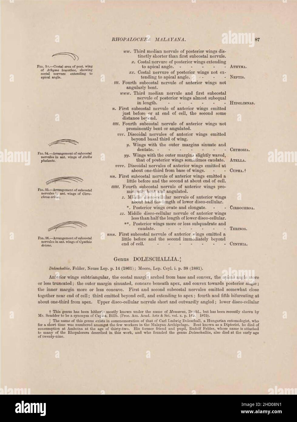 Rhopalocera Malayana -a description of the butterflies of the Malay ...