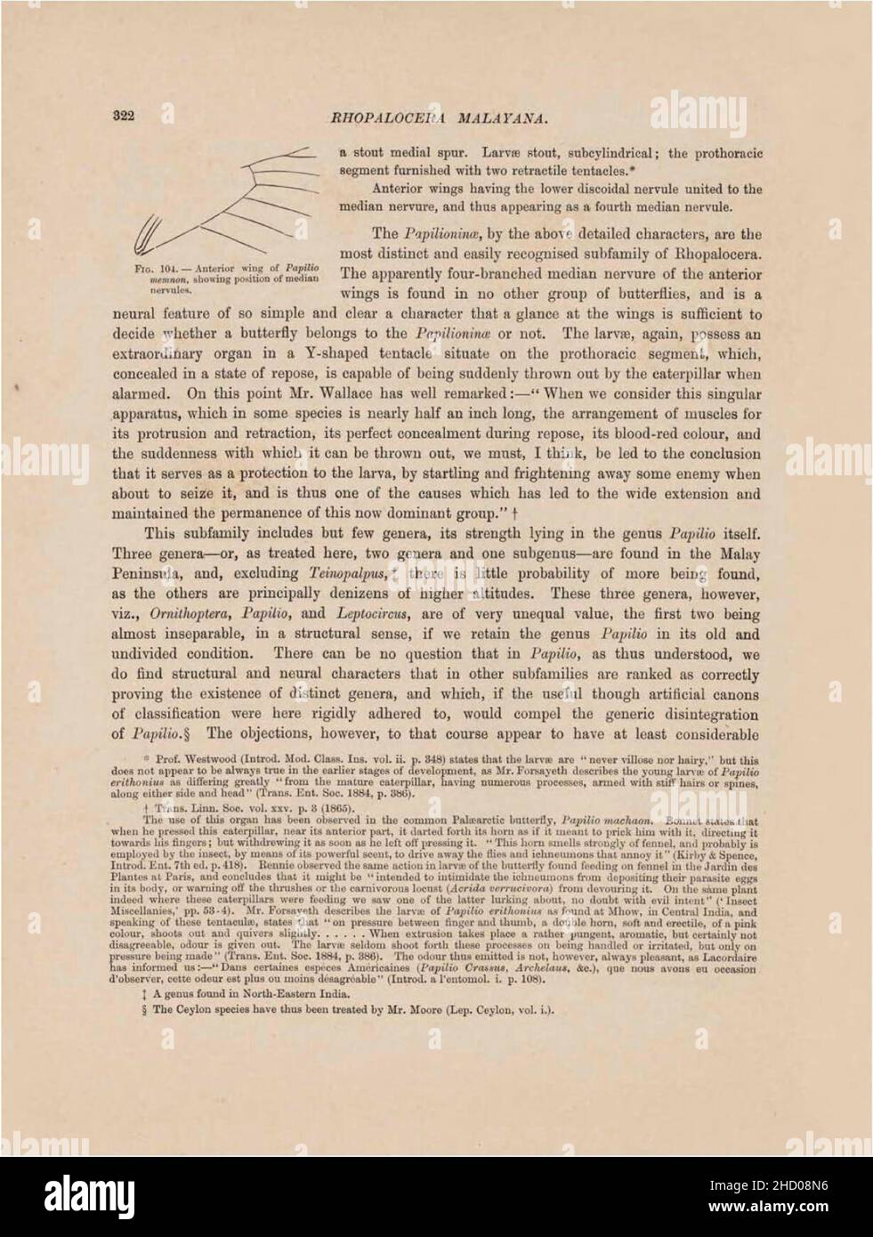 Rhopalocera Malayana -a description of the butterflies of the Malay ...