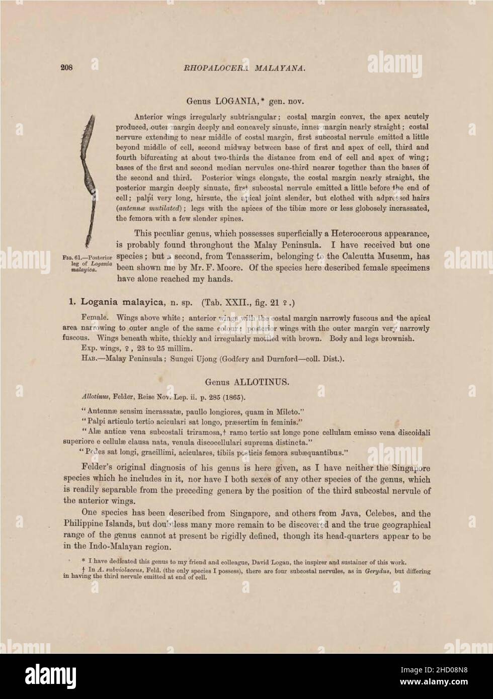 Rhopalocera Malayana -a description of the butterflies of the Malay ...