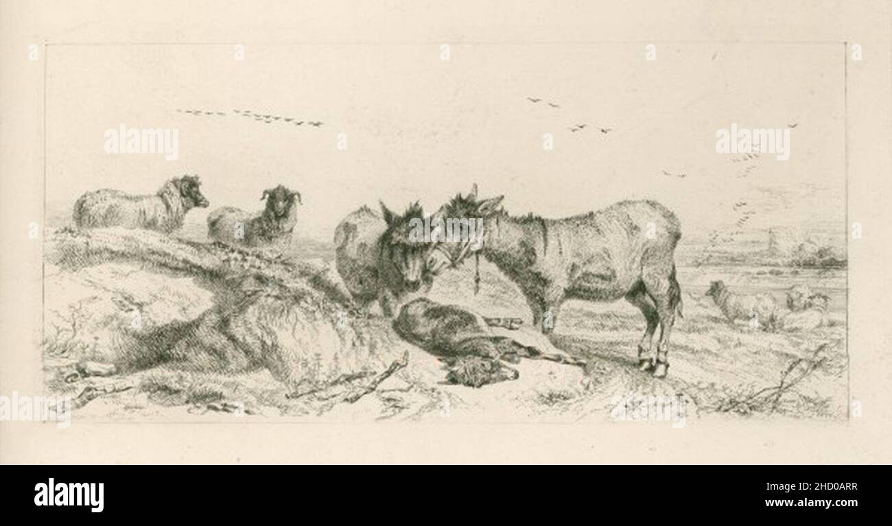 Richard Ansdell - Fellow-Commoners (The Etching Club, 1857 Stock Photo ...
