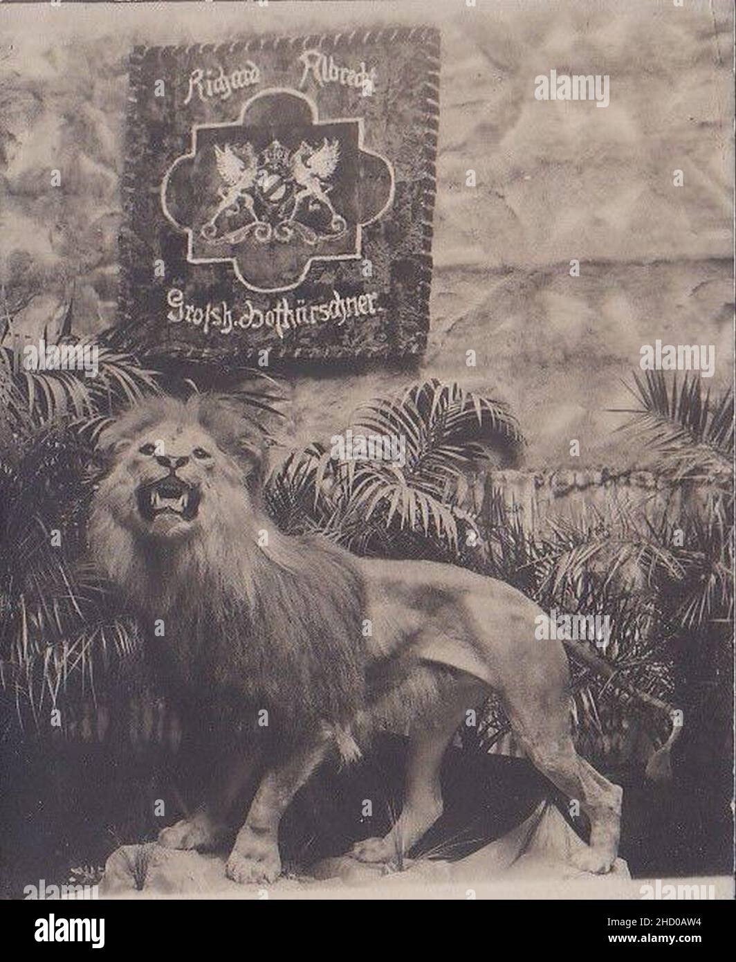 Richard Albrecht, Großherzoglicher Hof-Kürschner in Karlsruhe ...