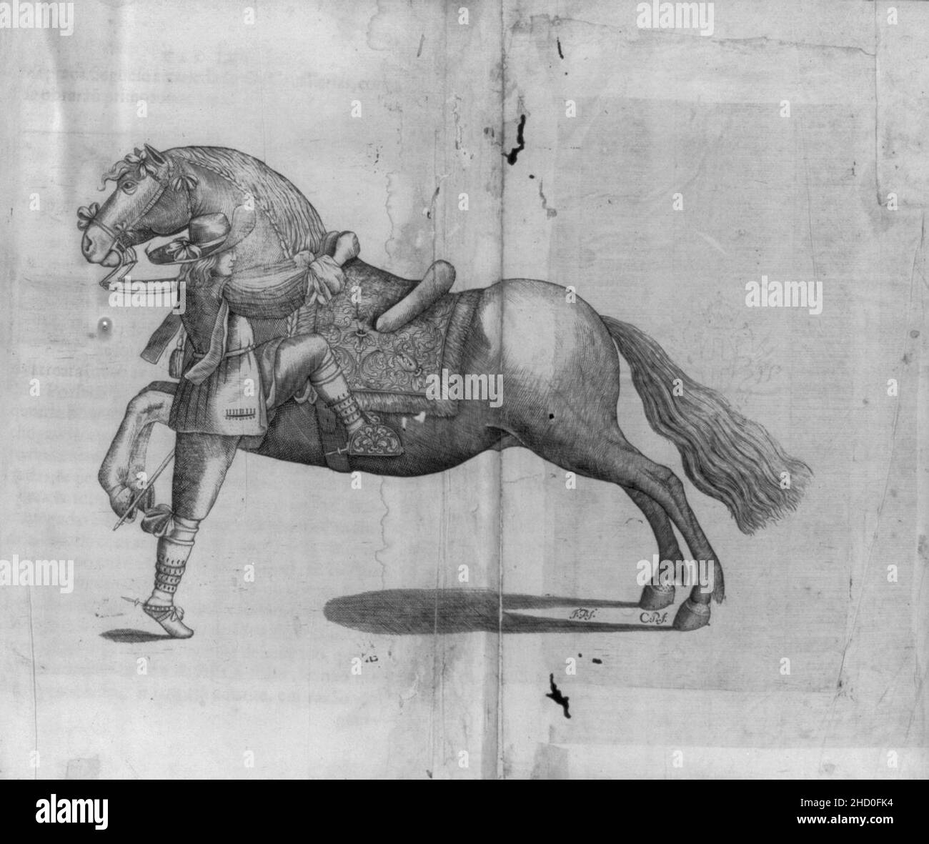 Mounting horse hi-res stock photography and images - Alamy