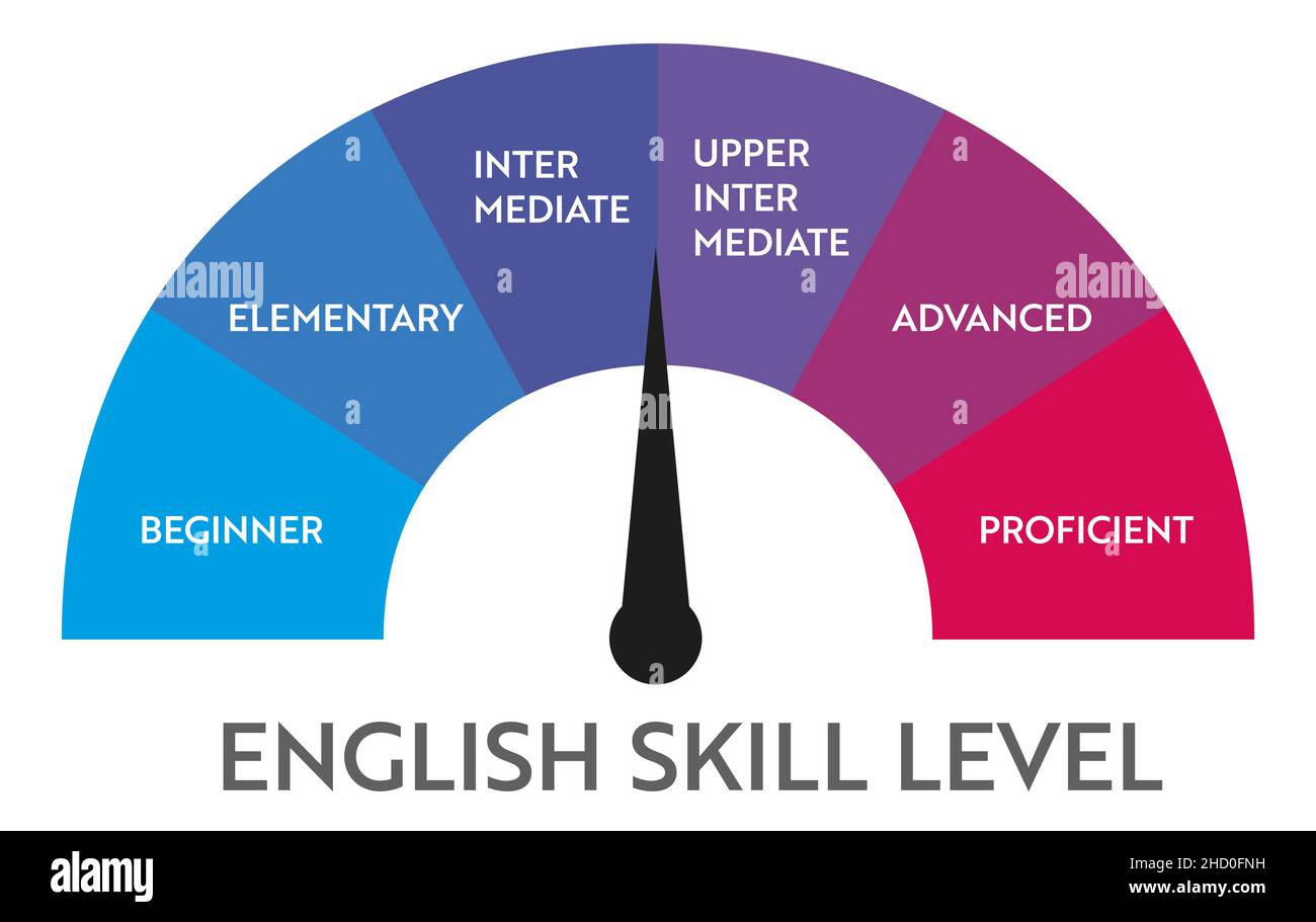 Skill level meter indicator. Business vector chat infographic ...