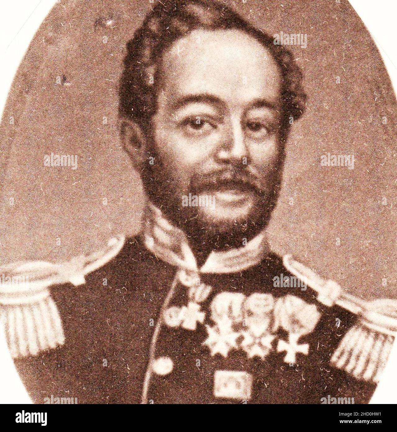 Rijneveld hi-res stock photography and images - Alamy