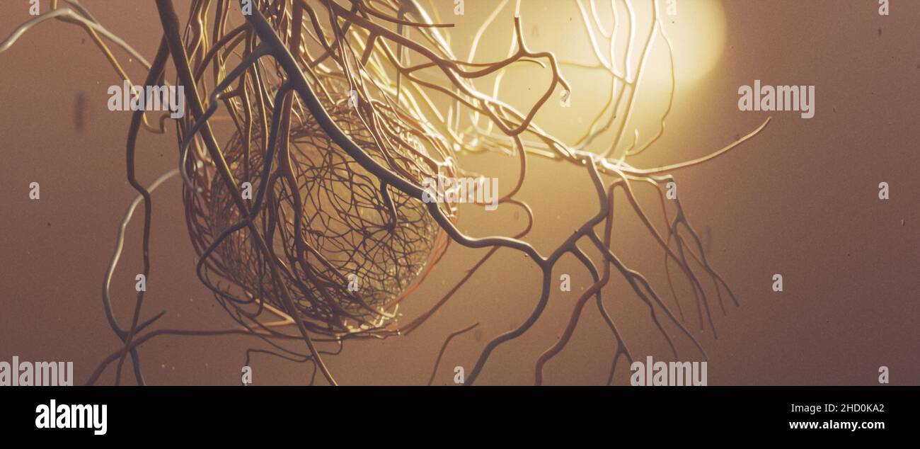 Human Eye Anatomy Close-up in gold, 3D rendering from angle, including ...