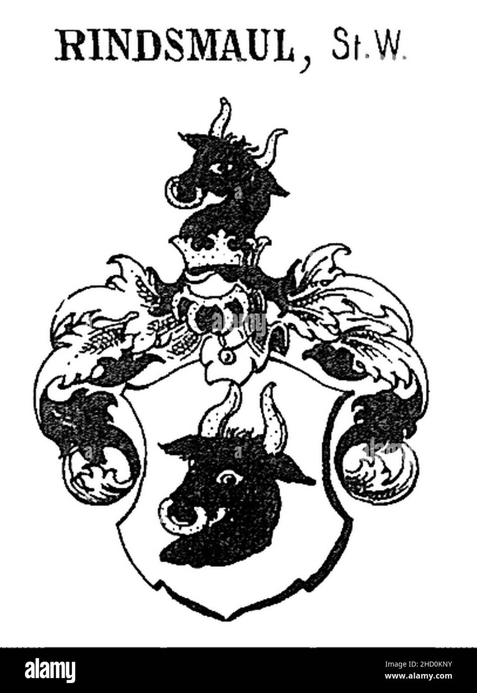 Stamm Black and White Stock Photos & Images - Alamy