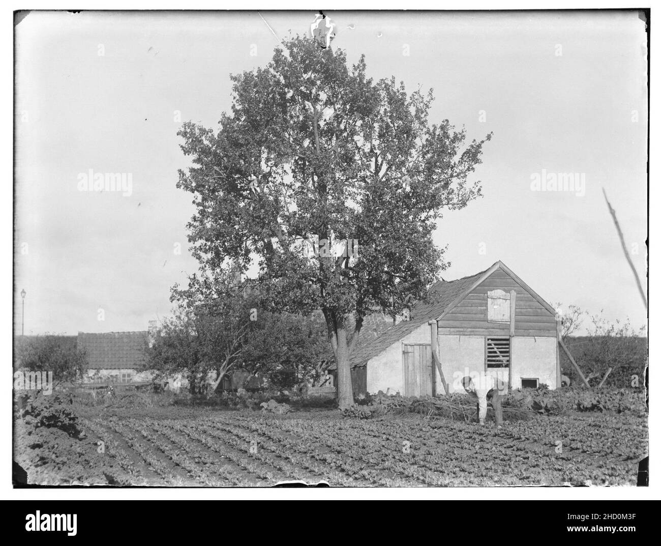 Ringdijk bij nr 47 Jacob Olie (max res Stock Photo - Alamy
